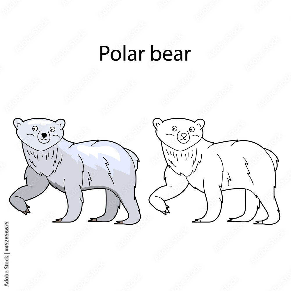 Funny cute animal polar bear isolated on white background. Linear ...