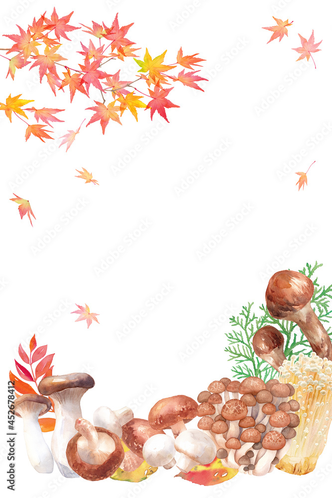 Illustrazione Stock 秋のキノコの収穫イメージ背景。いろいろなきのこで飾ったフレームデザイン。水彩イラスト。縦型 ...