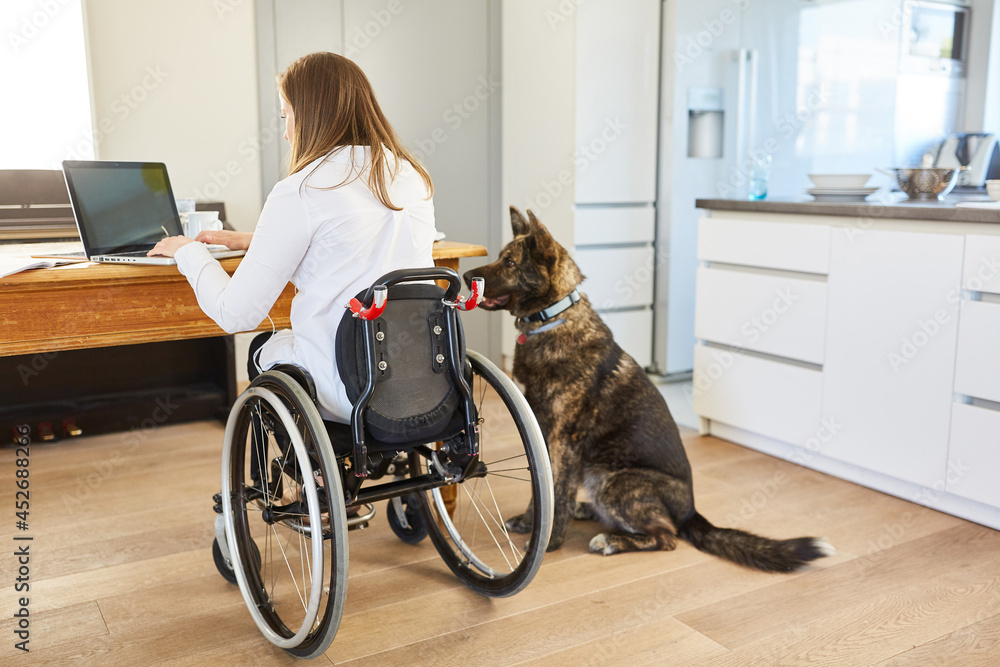 Woman in a wheelchair at the PC with an assistance dog as support Stock ...