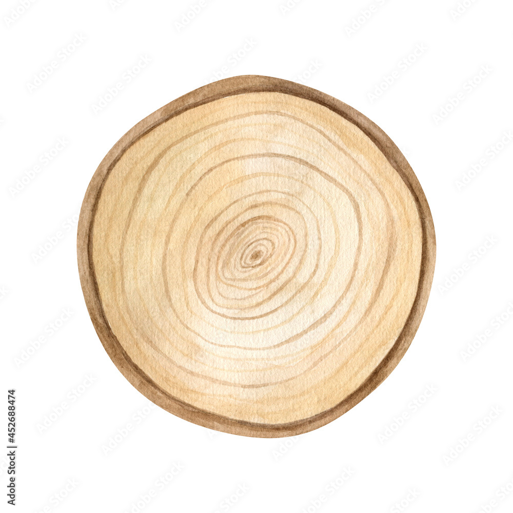 Watercolor wood slice illustration. Hand painted wooden texture board ...