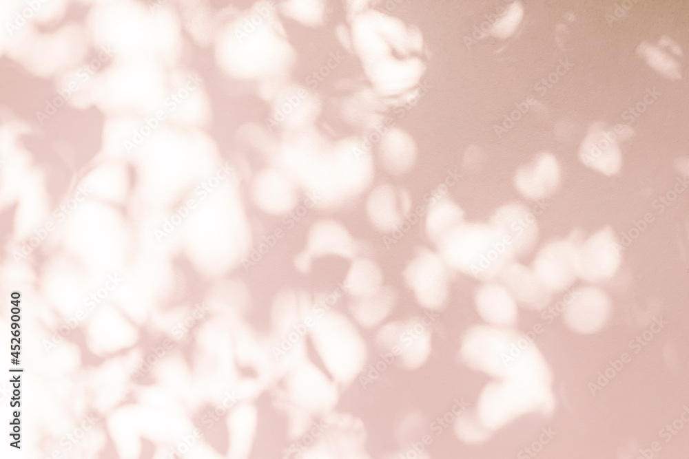 shadow and light pink background of leaf shadow tree branch on white ...