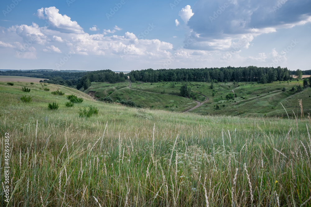 Panorama of the wide area of rural with hills and ravines overgrown ...