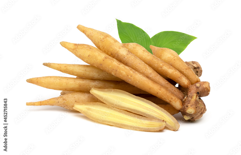 Finger root with leaf isolated on white background, White Krachai, herb ...