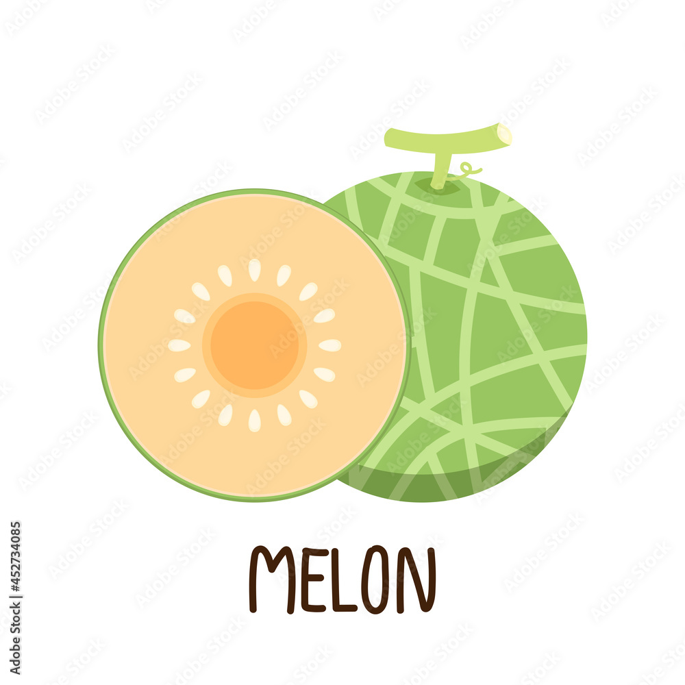 Melon vector. melon on white background. wallpaper. symbol. logo design ...