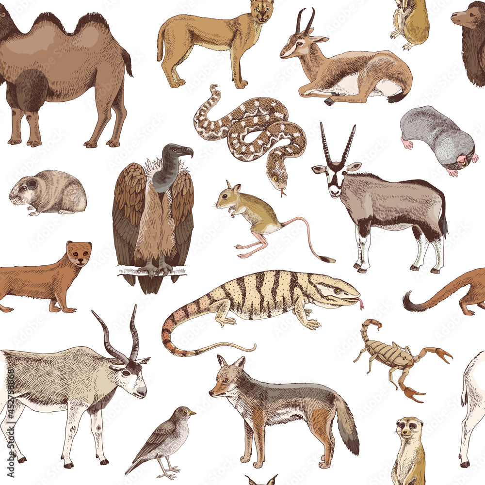 Hand drawn seamless pattern of desert animals Stock Vector | Adobe Stock