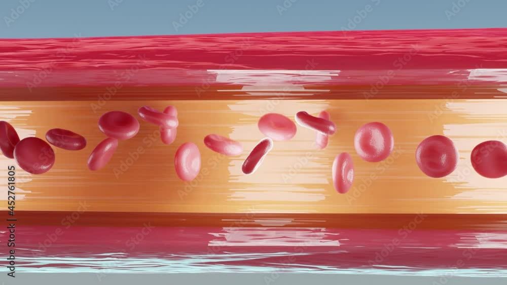 Red blood cells flow inside an artery, cross section. Healthy red blood ...