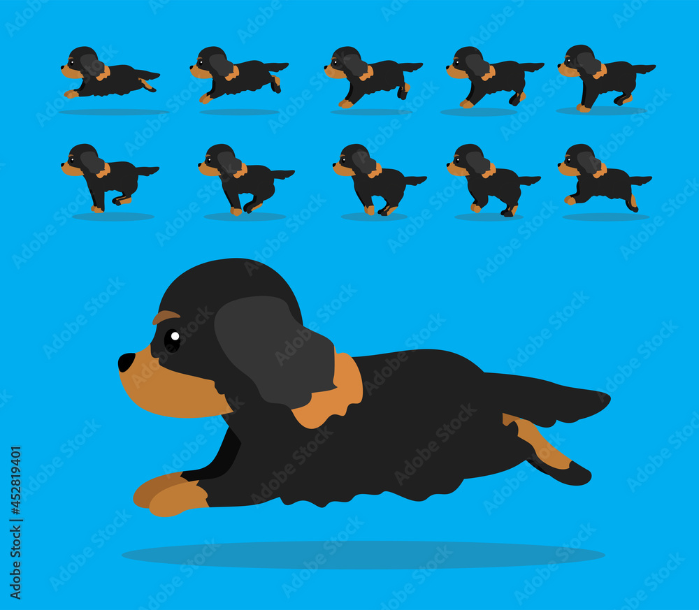 Animal Animation Sequence Dog Cocker Spaniel Cartoon Vector Coat 1 ...