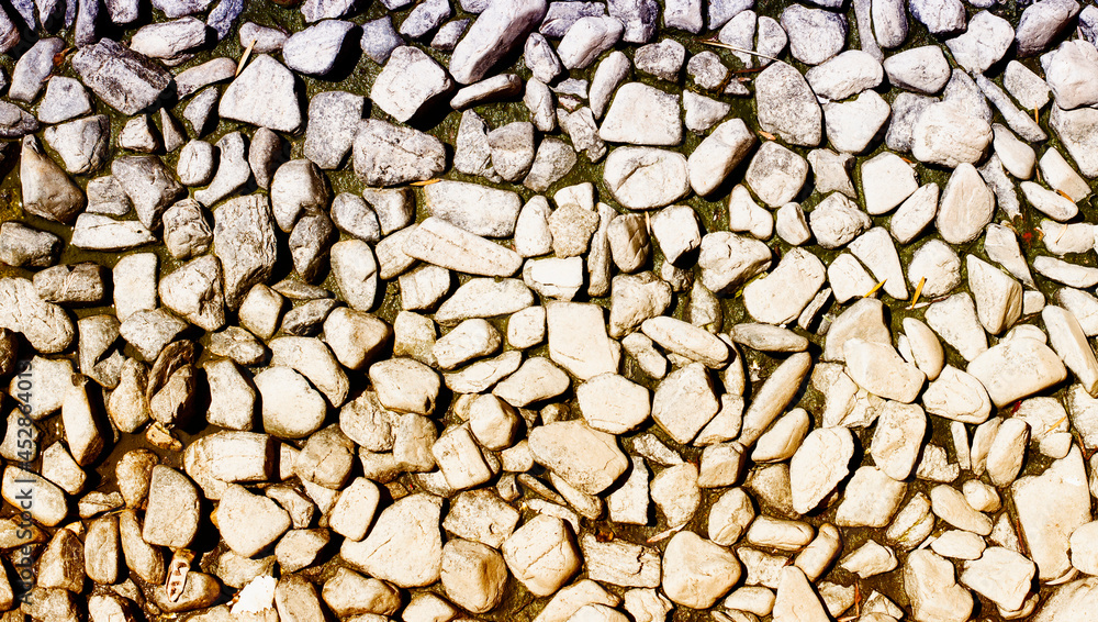 Dense number of various pebble stone pattern are use as background ...
