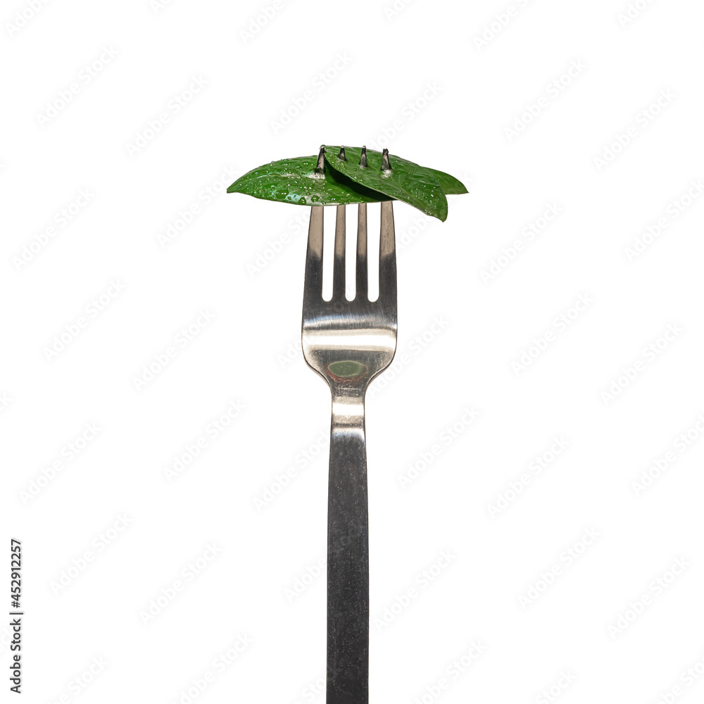 Green fresh leaves picked by a fork for eating as new vegan food ...