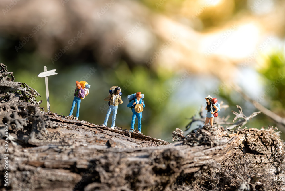 Young people with backpacks walking in the forest Stock Photo | Adobe Stock