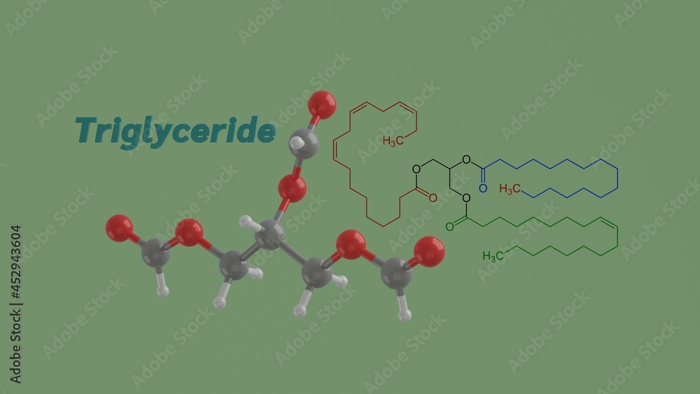 Triglyceride or triacylglycerol lipid science chemical structure ...