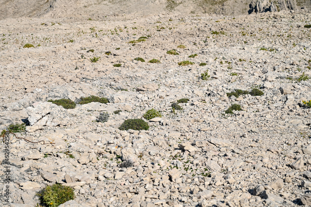 Arid ground in desert. Barren stony ground. Deserted area with little ...