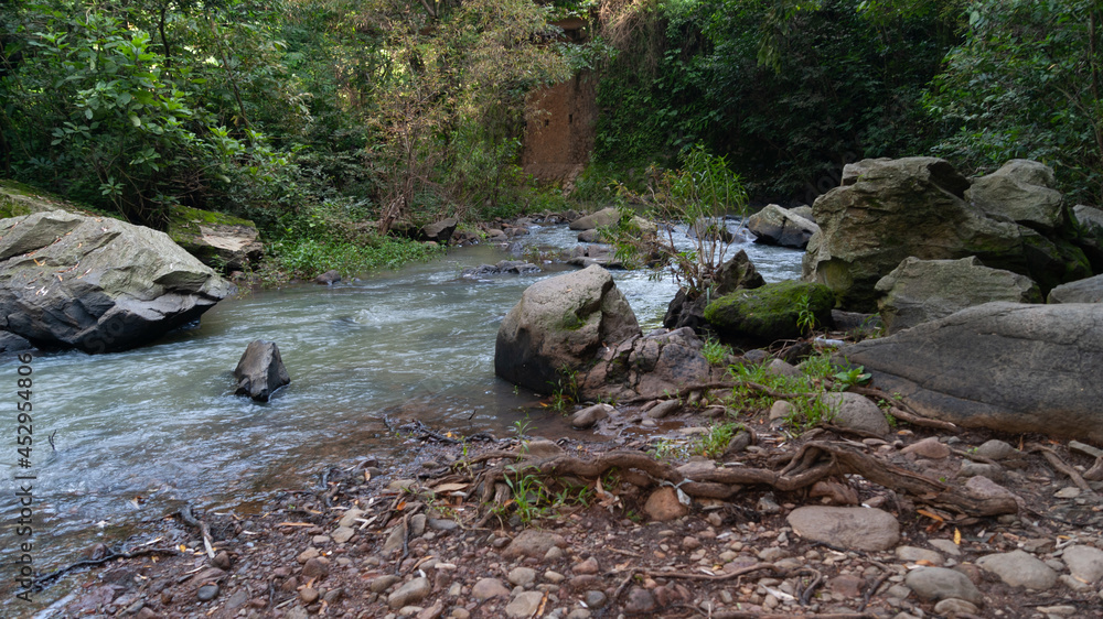Pequeño riachuelo con agua corriendo entre rocas y vegetación foto de ...