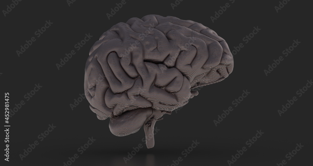 Human brain activity with plexus lines.. External cerebral connections ...