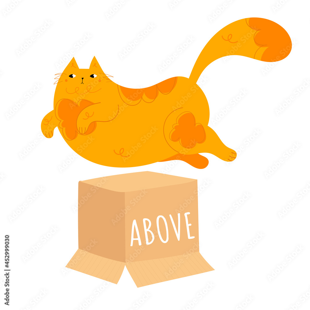 Learning prepositions of place. Funny fat cat above the paper box ...