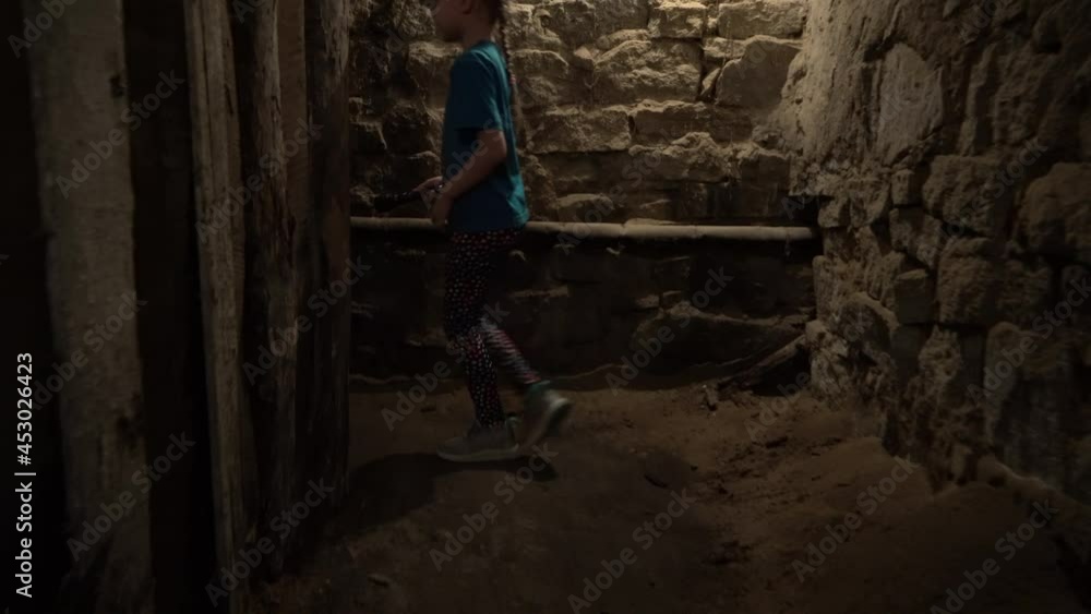 Walk through an old dark underground basement or a closet in an old ...