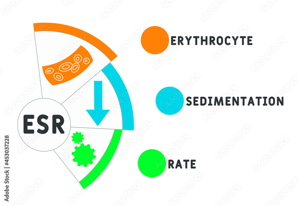 ESR - Erythrocyte Sedimentation Rate acronym. medical concept ...