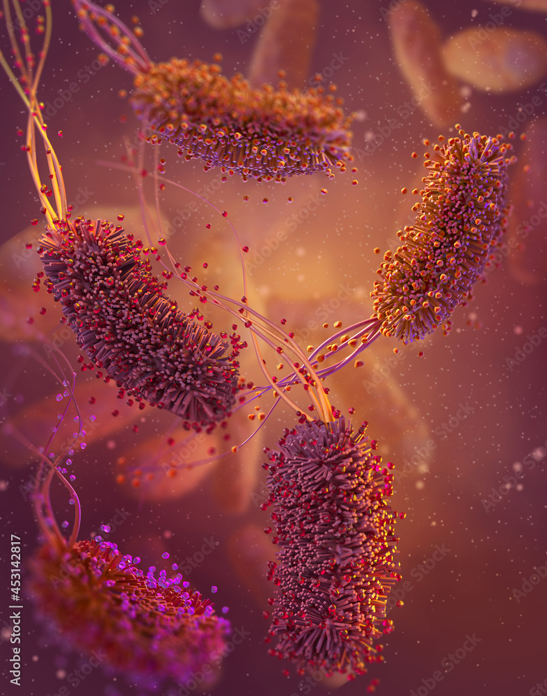 Medical background, lophotrichous bacteria with a monopolar arrangement ...