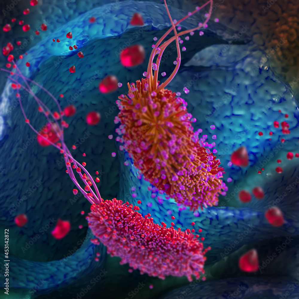 Medical background, lophotrichous bacteria with a monopolar arrangement ...