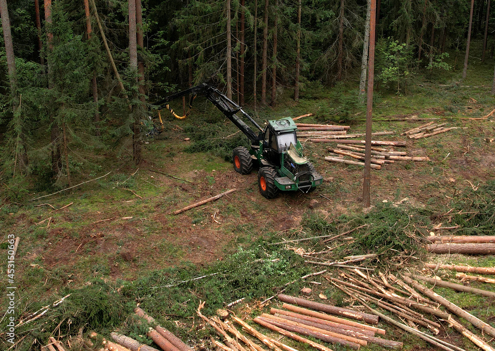 Clearing Timber