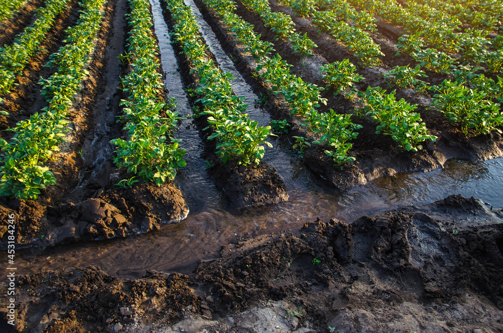 Surface Irrigation
