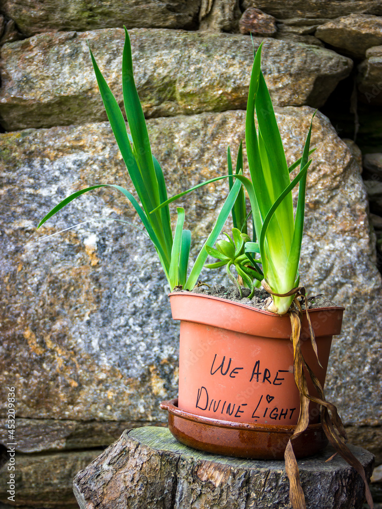 Flower Pot with Motivation Inspirational Writing next to a Stone House ...