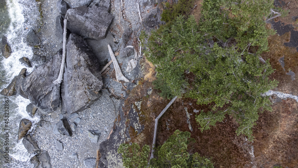 Aerial photo of a tree and pebble beach with drift wood and large ...