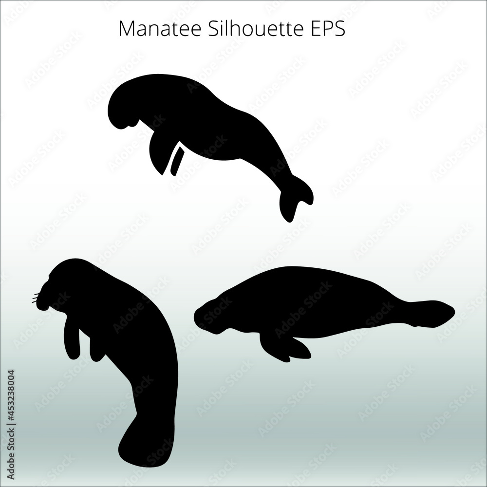 Manatee Outline