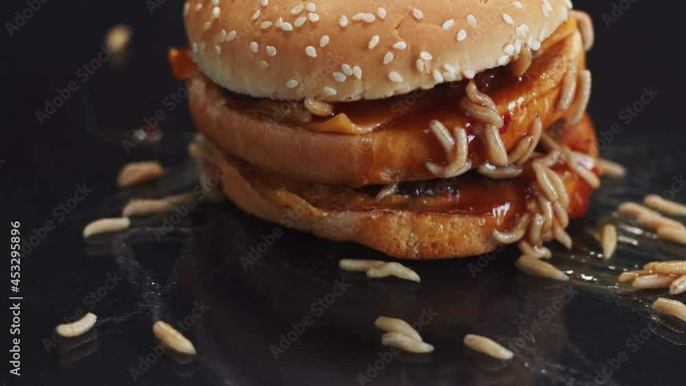 Larvae maggot crawl and out of burger leaving trail of mucus at black ...