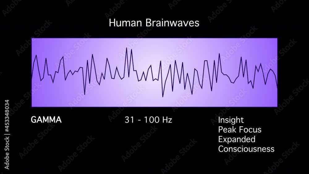 Gamma Human Brain Waves Diagram Illustration Animation on Black ...