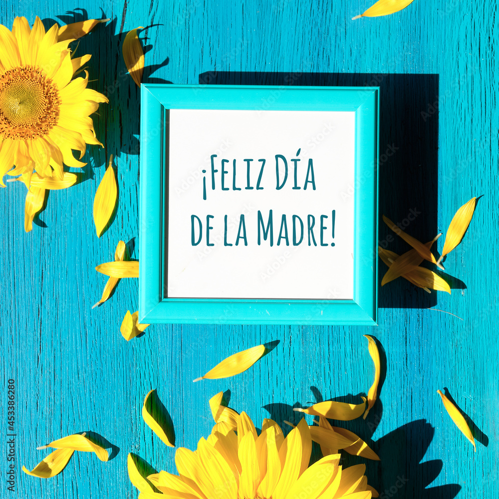 Text Feliz Dia de la Madre means Happy Mother's day in Spanish language ...