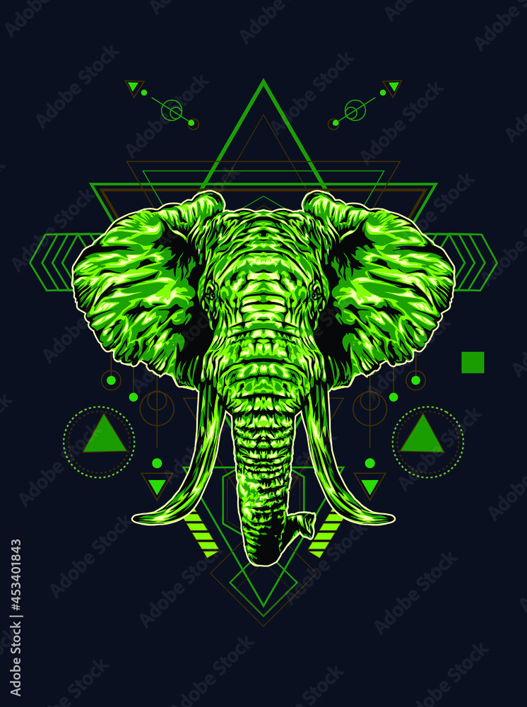 Elephant on mystic symbol background.Vector.Sacred Geometry line art ...