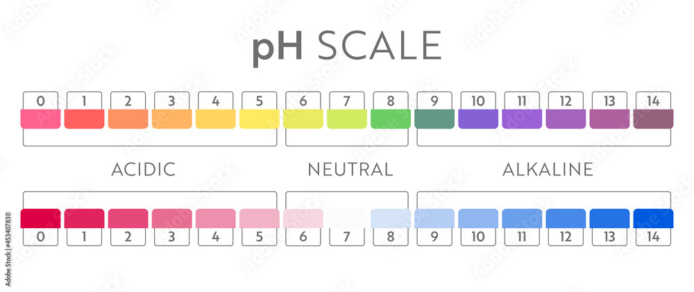 pH Value scale chart. Acid-base balance infographic. Education Poster ...