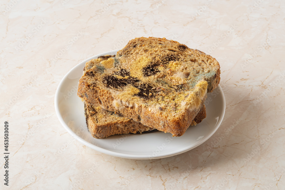 Fotka „Moldy bread on a saucer. Different kinds of bread mold. Two ...