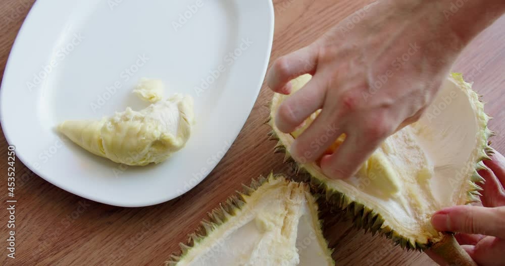 Gardener man cut open durian, open flesh of yummy organic yellow yummy ...