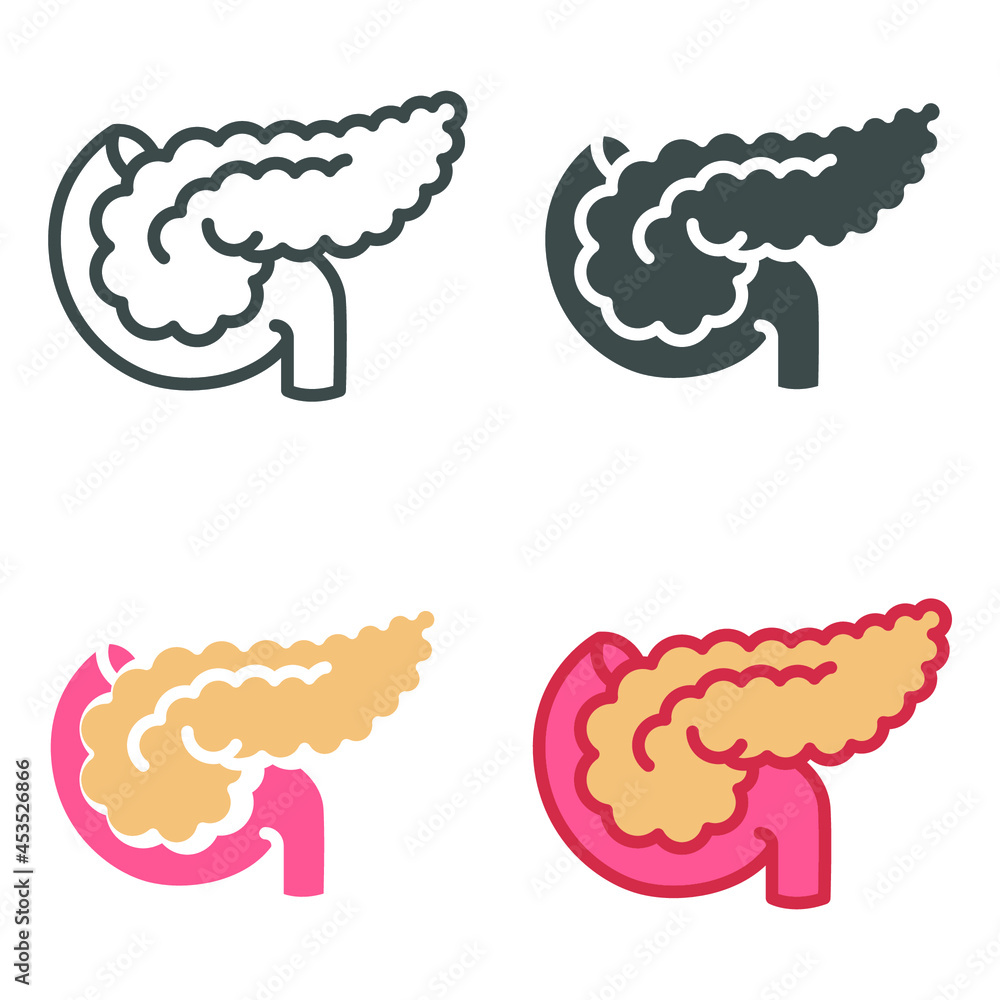 Part of digestive system, large gland in stomach for medical info ...