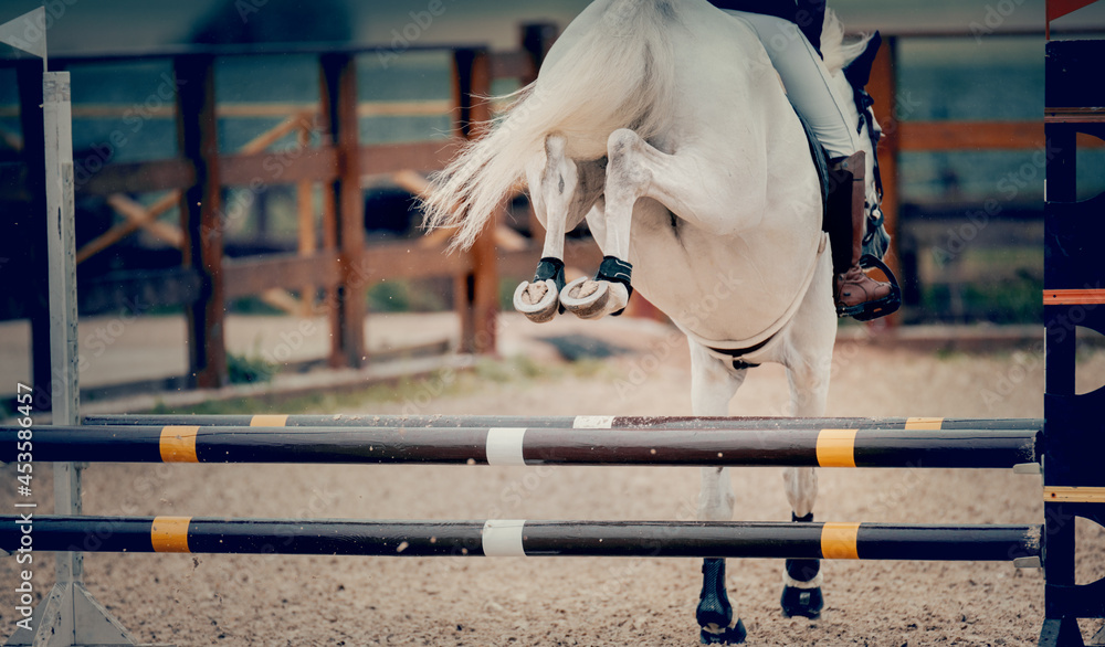 The shod hooves of a horse over an obstacle. The horse overcomes an ...