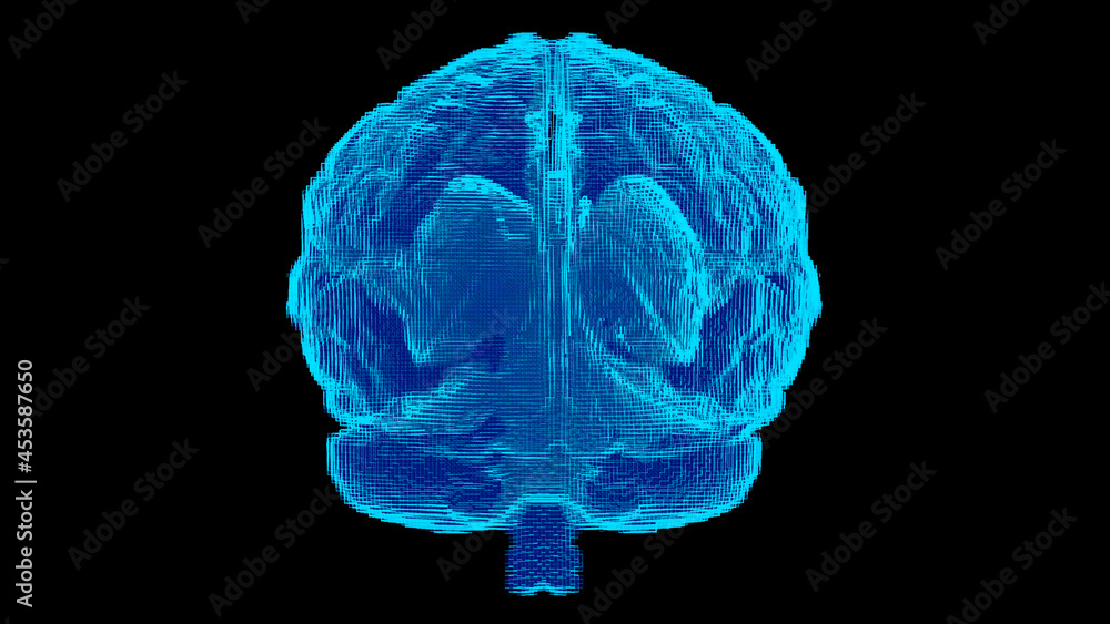 3d rendering front view brain x-ray surface on black background ...