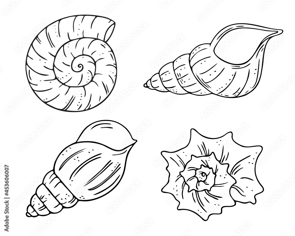 Doodle seashells set, hand-drawn sea symbols. Fossils painted by ink ...
