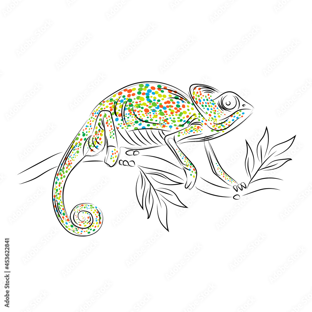 Chameleon realistic outline drawing with colored spots. Isolated on ...