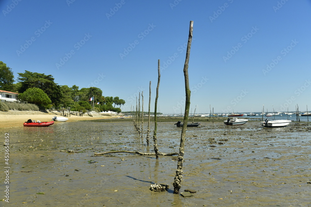 Les piquets en bois plantés dans le sable à la plage de l'Herbe en ...