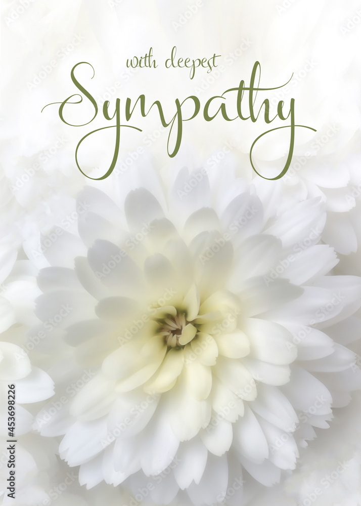 Poster Floral sympathy greeting card – Wall Art | UkPosters