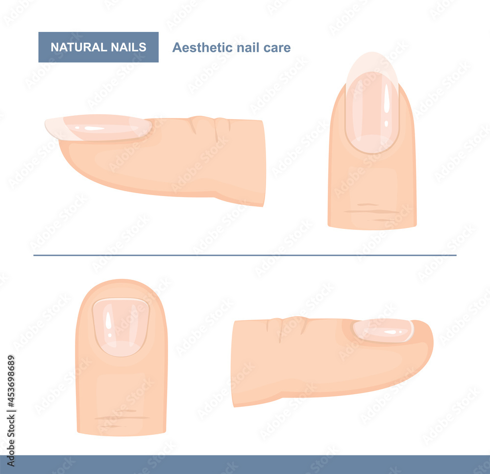 Different Types of Fingernails. Aesthetic Nail Care. Vector ...