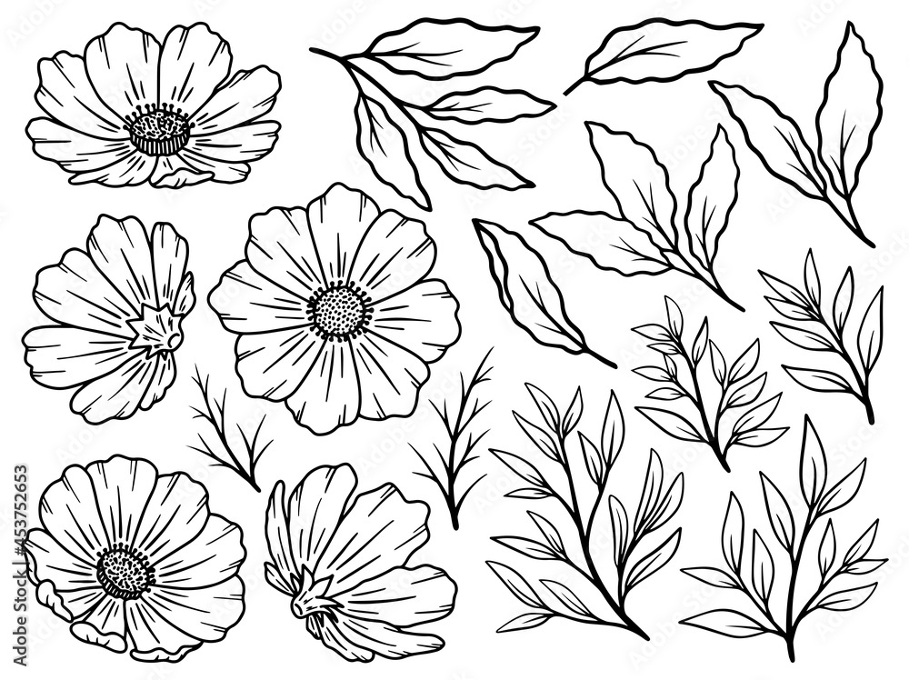 Hand drawn flower sketch line art illustration set. Stock Vector ...