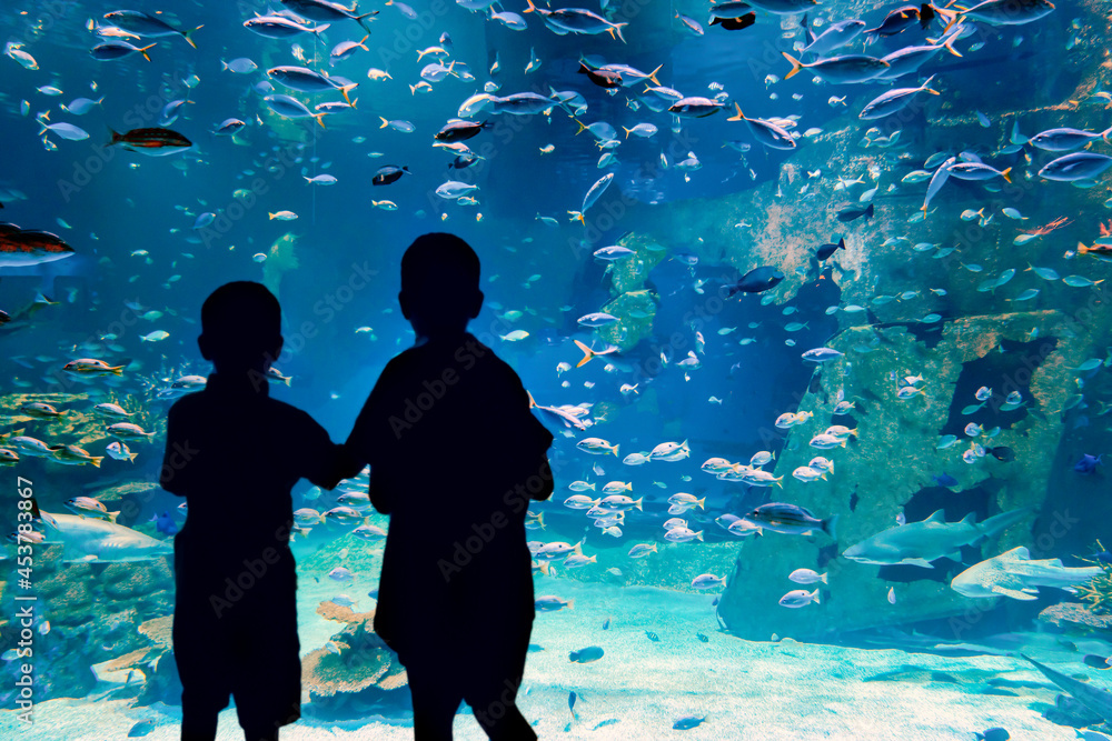 children in the aquarium enthusiastically watch and observe the ...