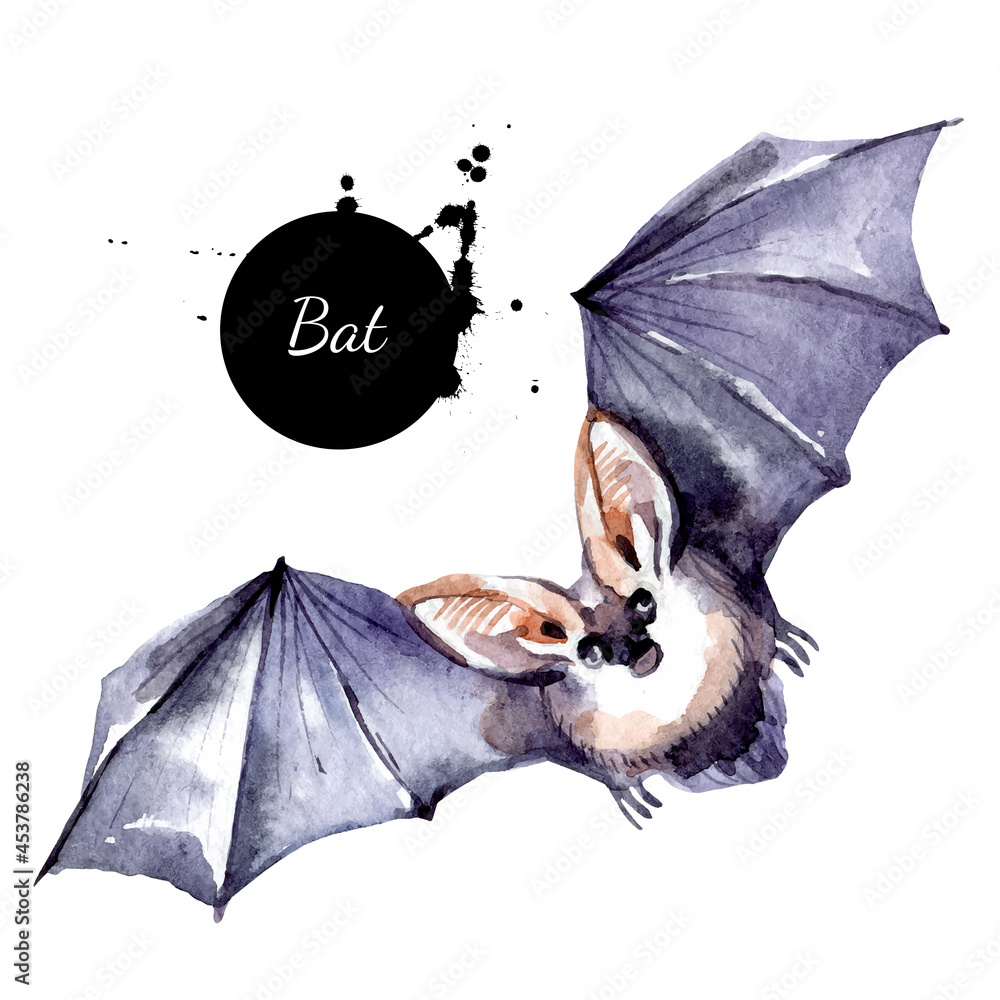 Vetor do Stock: Watercolor bat vampire illustration. Vactor painted ...