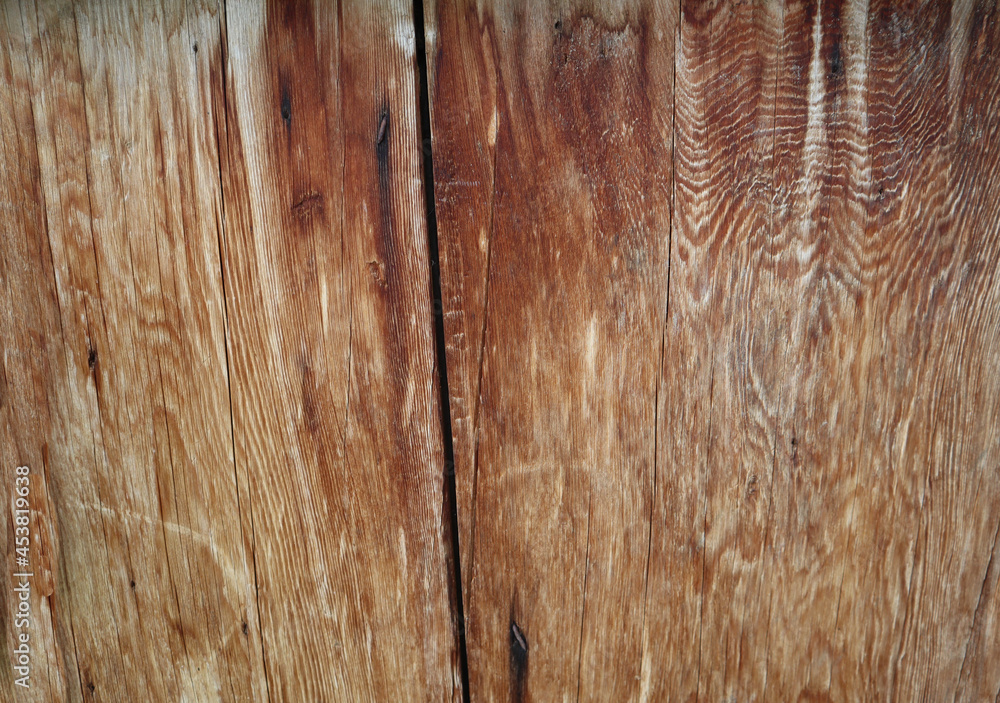 real wood textures for your designs Stock Photo | Adobe Stock
