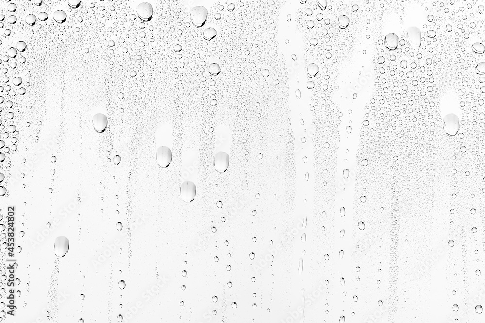 Water Drops White Wallpaper