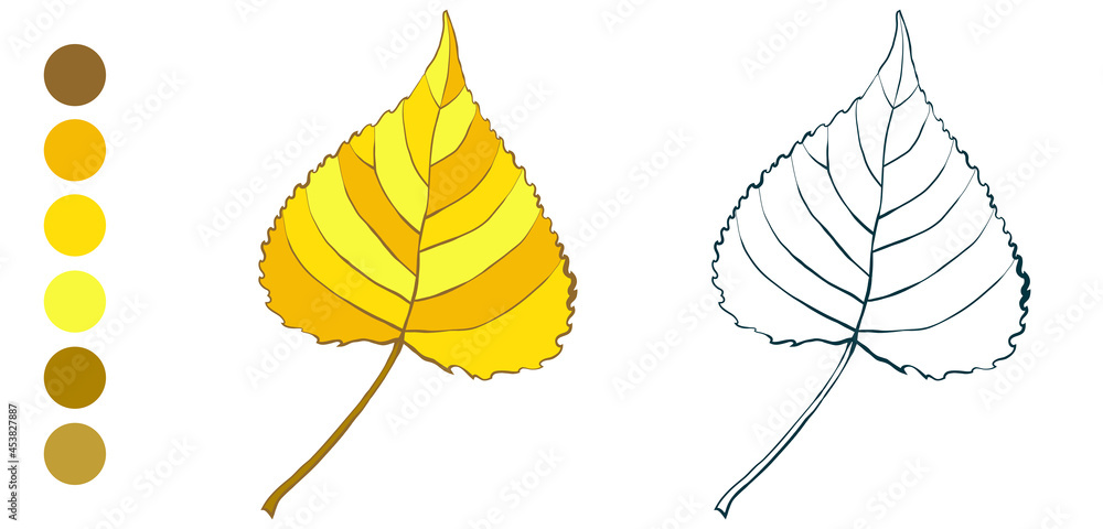 Coloring sheet with yellow autumn aspen leaf and appropriate color ...