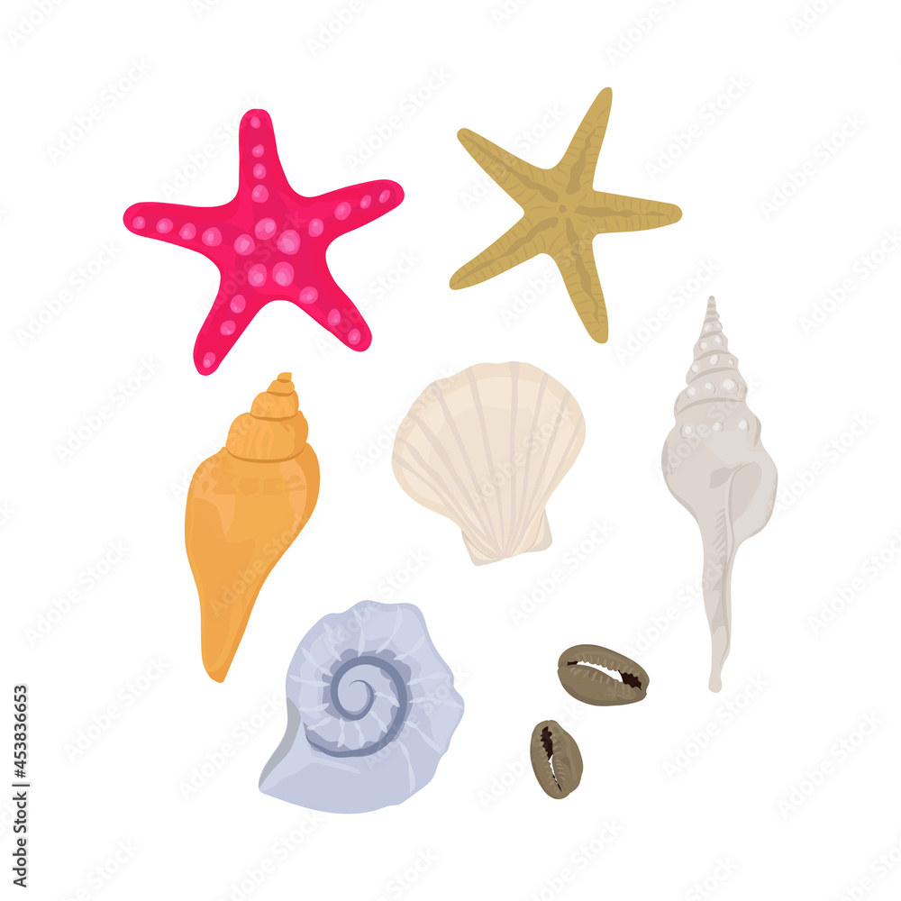 Cartoon illustration of 7 sea shell,beach tropical underwater vector ...
